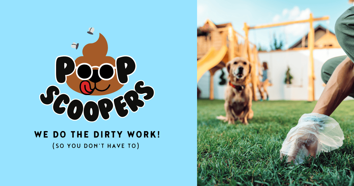 Pooper Scooper Service in North Carolina